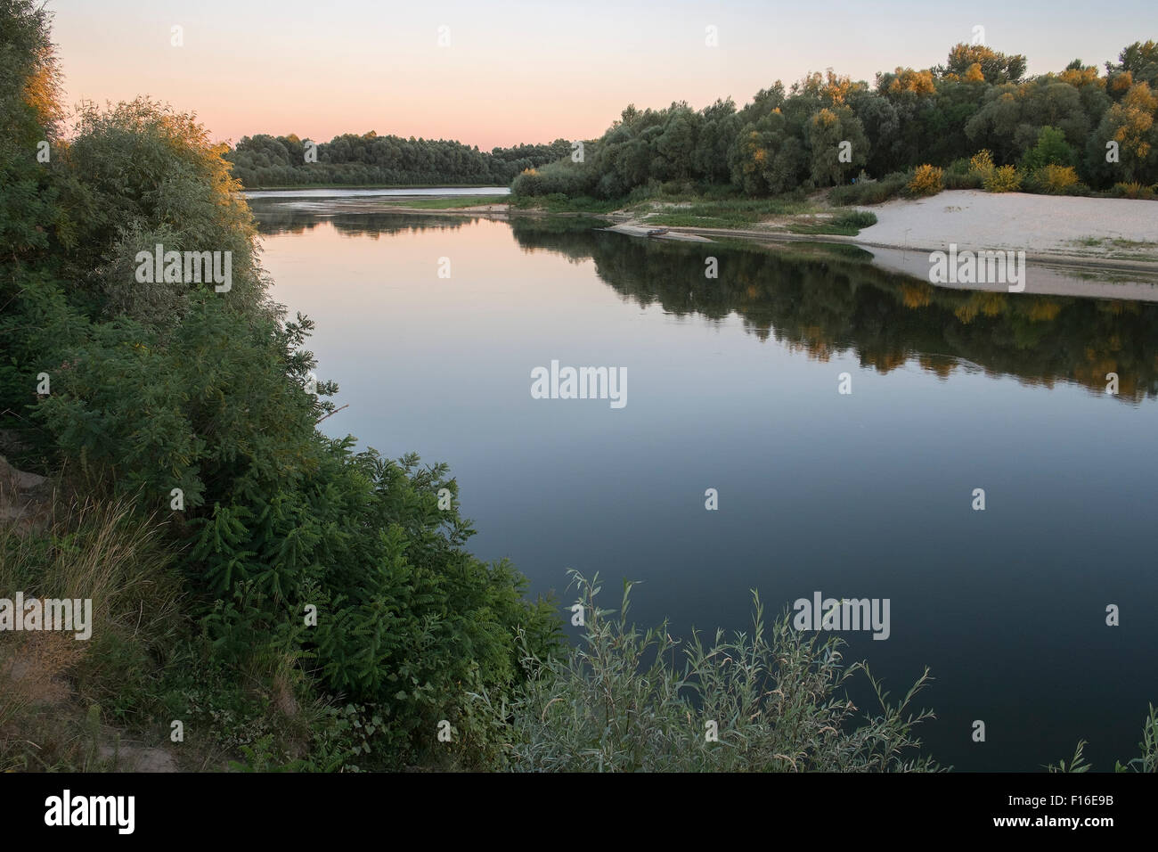 Silent river among trees in summer evening Stock Photo - Alamy