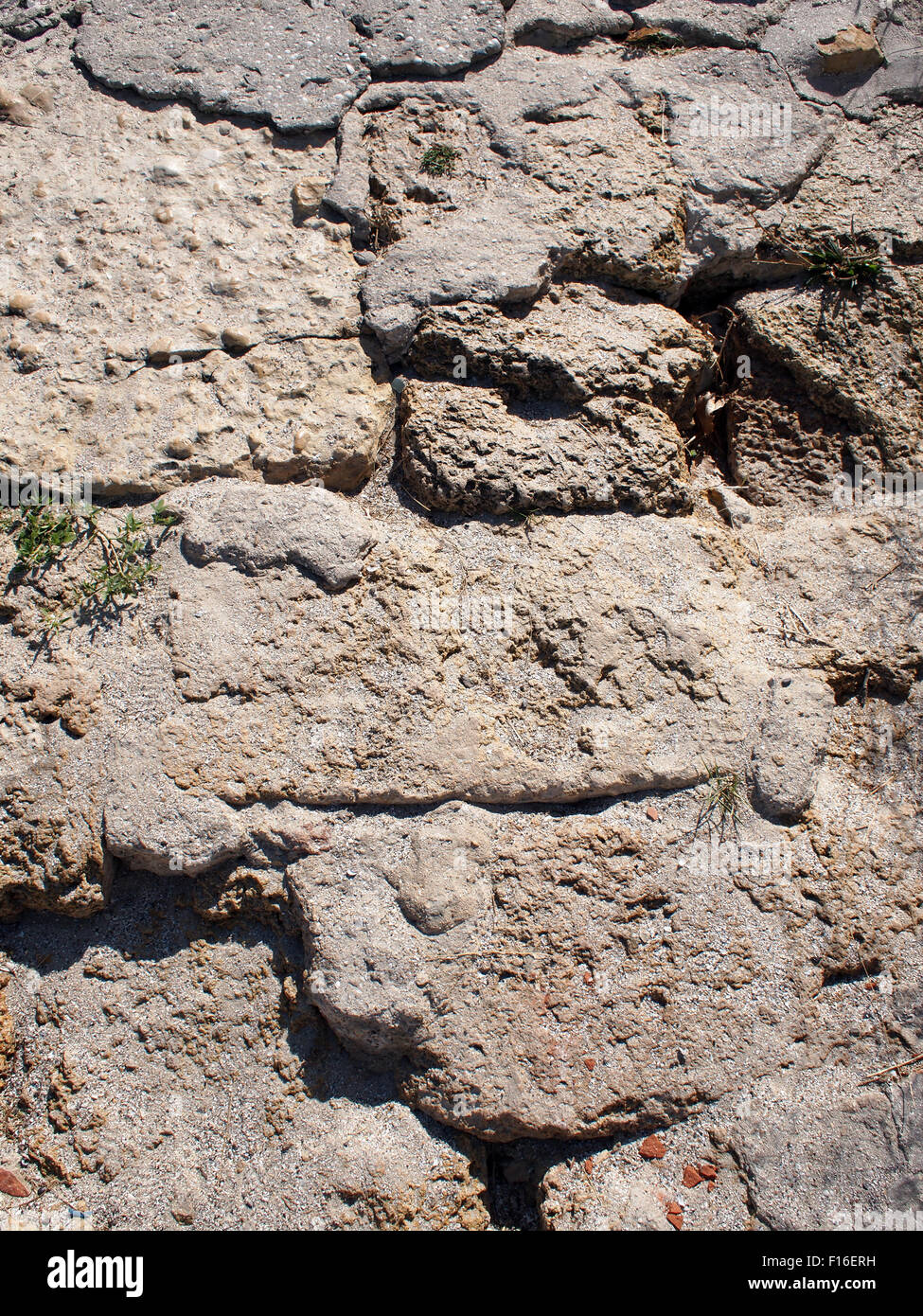 Selective focus. The stones from the limestone closeup on the beach ...