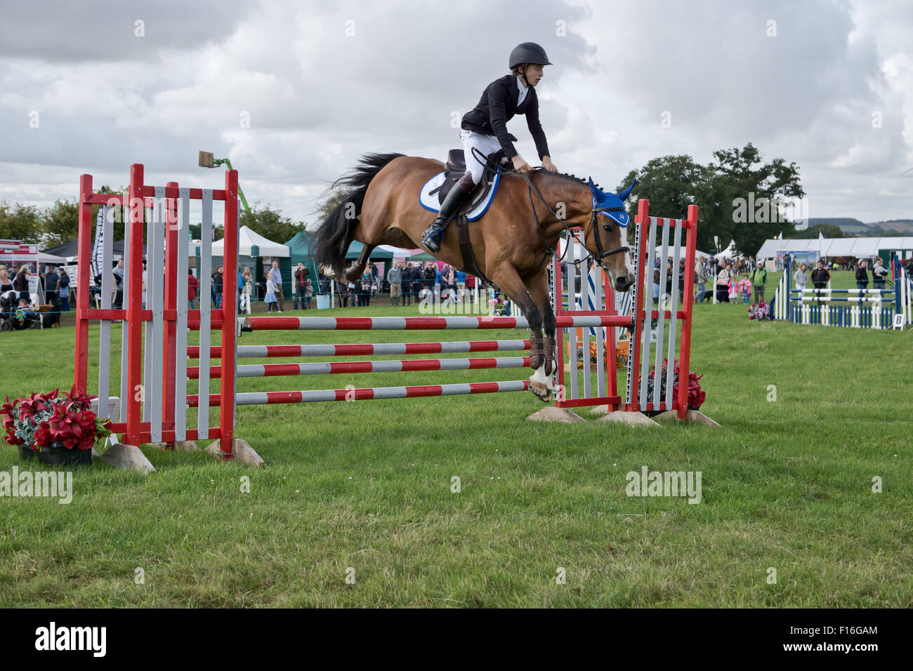 The Bucks County Show,UK 27/08/15 Show Jumping in the main arena Credit ...