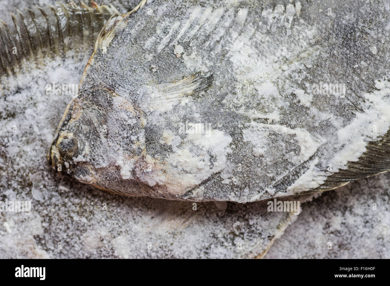 Frozen fish hi-res stock photography and images - Alamy