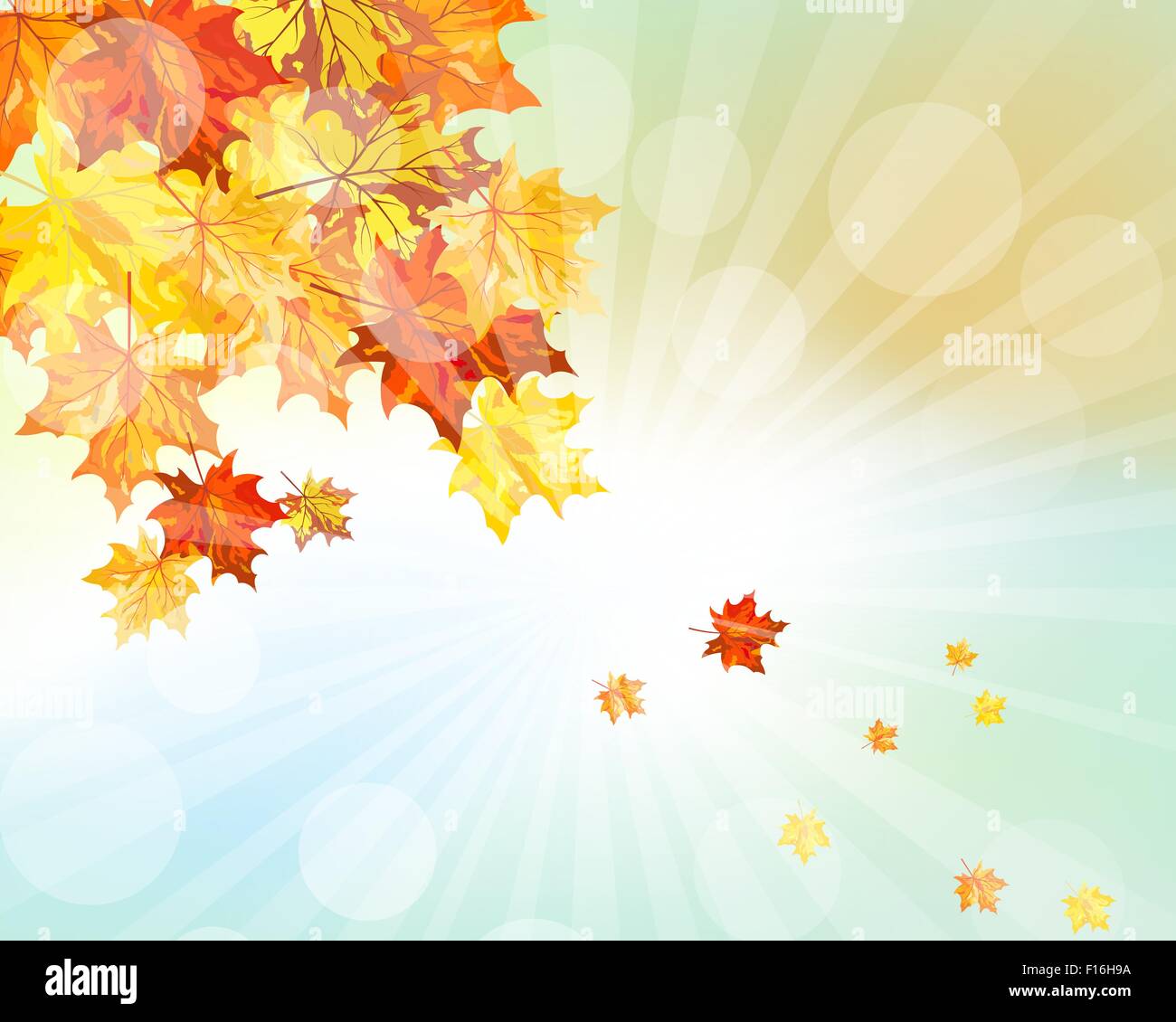 Autumn Frame With Falling Maple Leaves on Sky Background Stock Vector ...