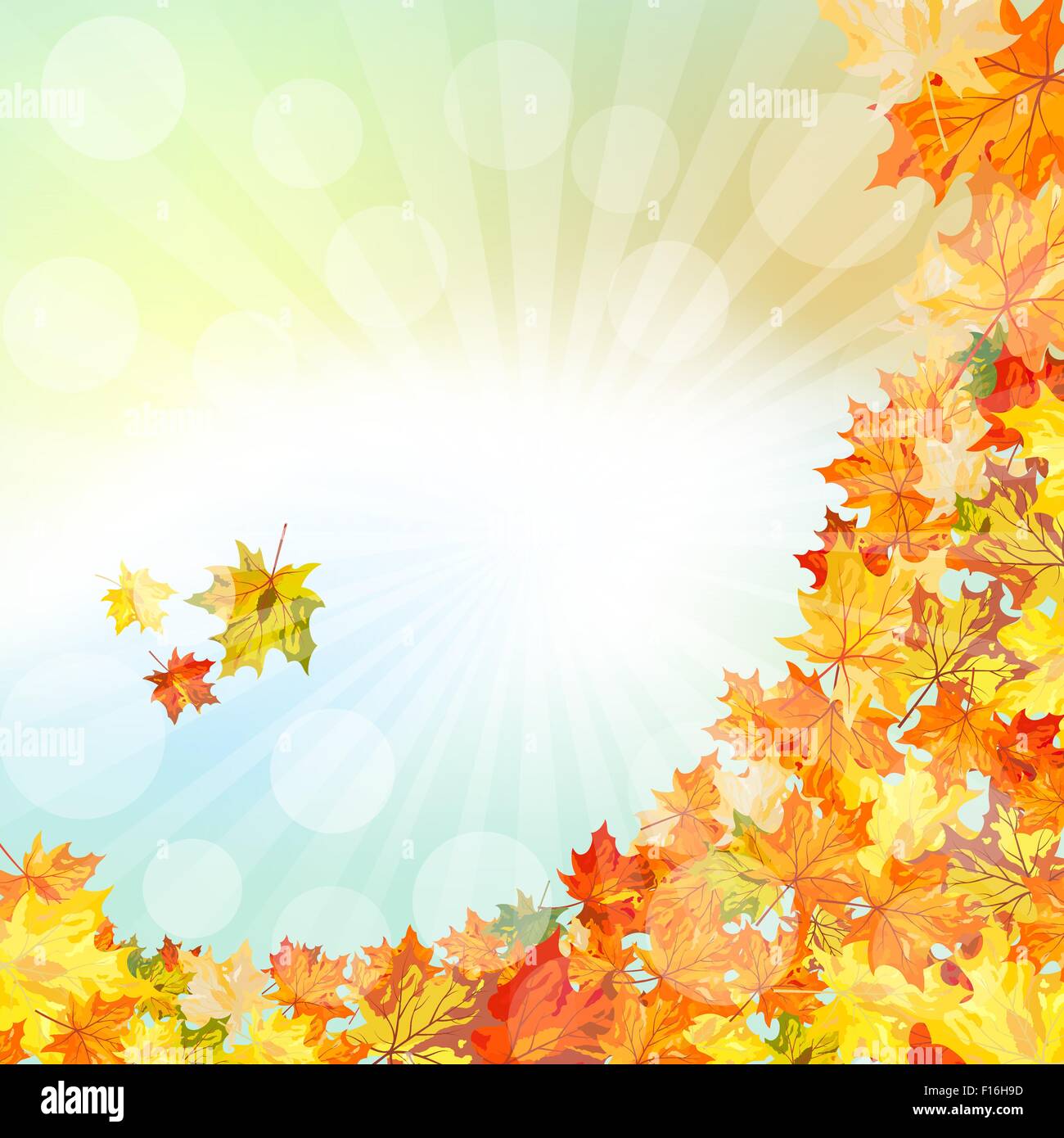 Autumn Frame With Falling Maple Leaves on Sky Background Stock Vector ...
