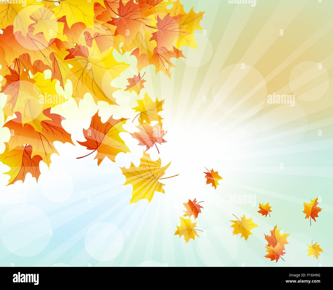 Autumn Frame With Falling Maple Leaves on Sky Background Stock Vector ...