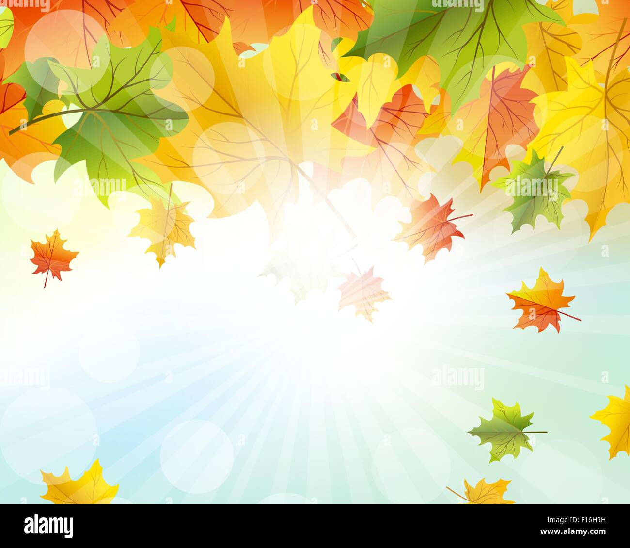 Autumn Frame With Falling Maple Leaves on Sky Background Stock Vector ...