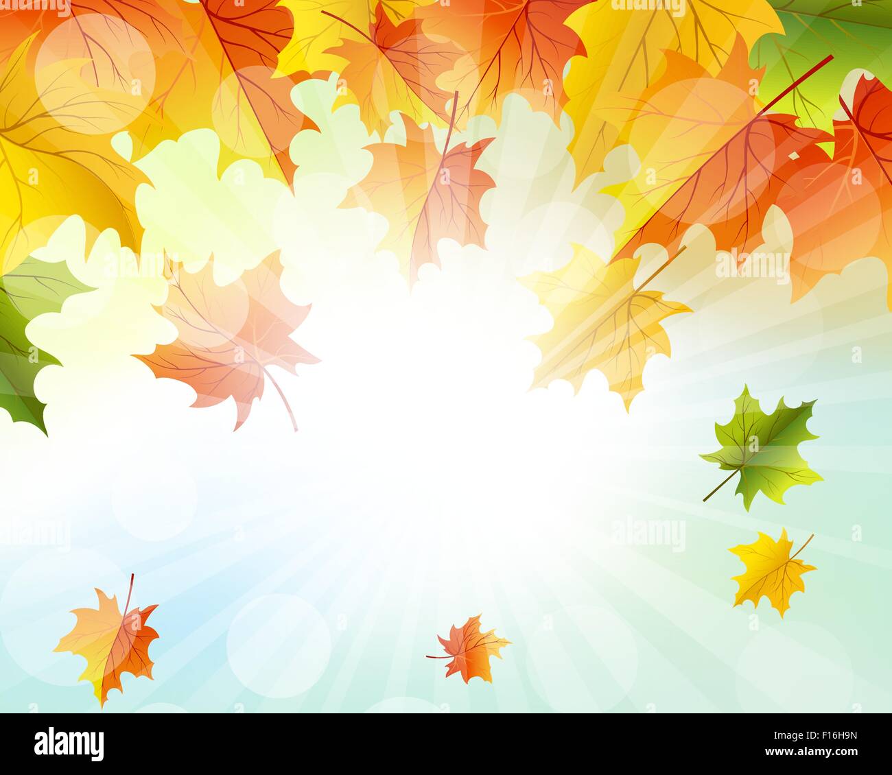 Autumn Frame With Falling Maple Leaves on Sky Background Stock Vector ...