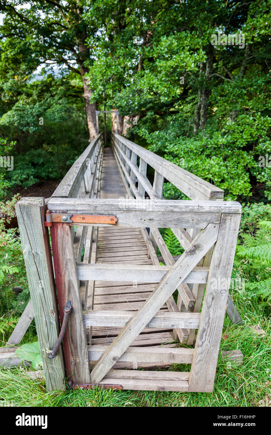 Shaky bridge hi-res stock photography and images - Alamy