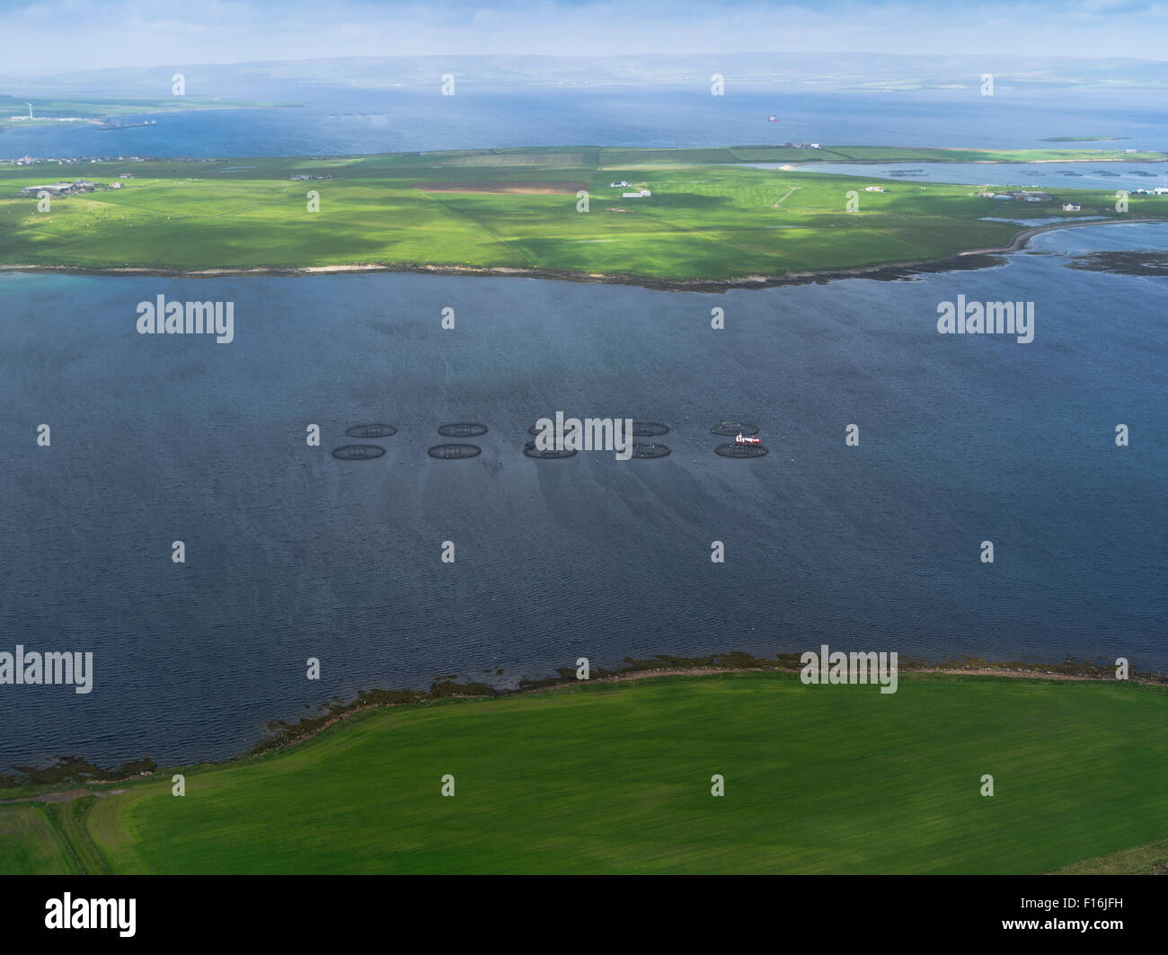 dh FISHING FARMING ORKNEY Circular salmon cages fish farming uk farm ...