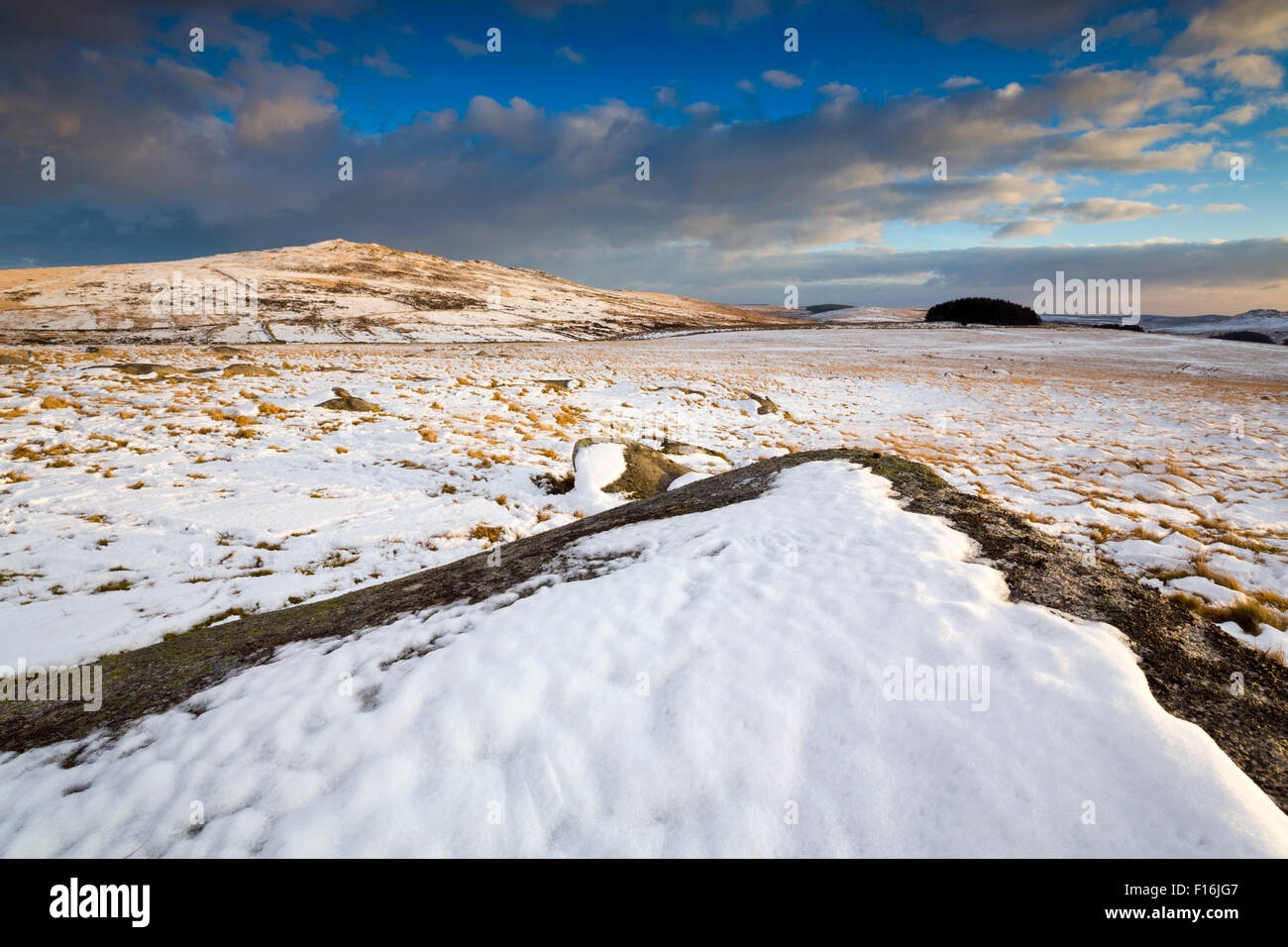 Brown Willy in Snow; Bodmin Moor; Cornwall; UK Stock Photo - Alamy