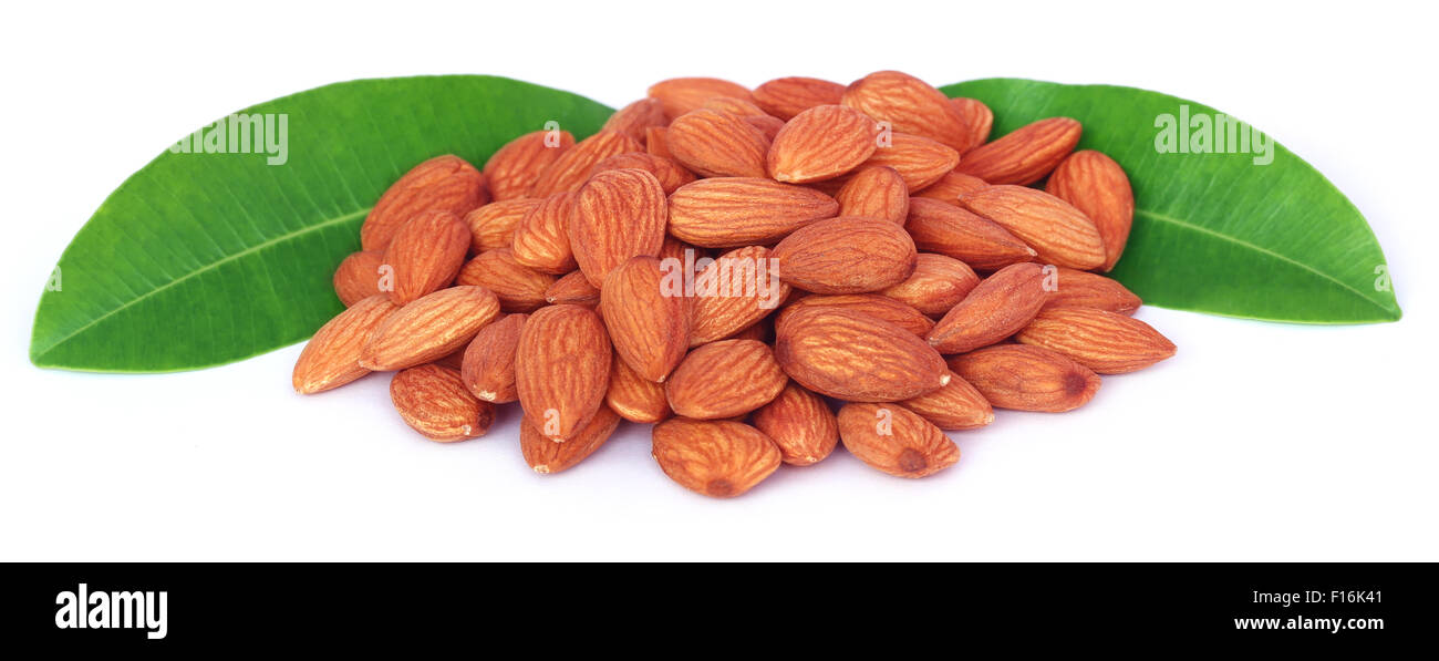 Almonds leaves hi-res stock photography and images - Alamy