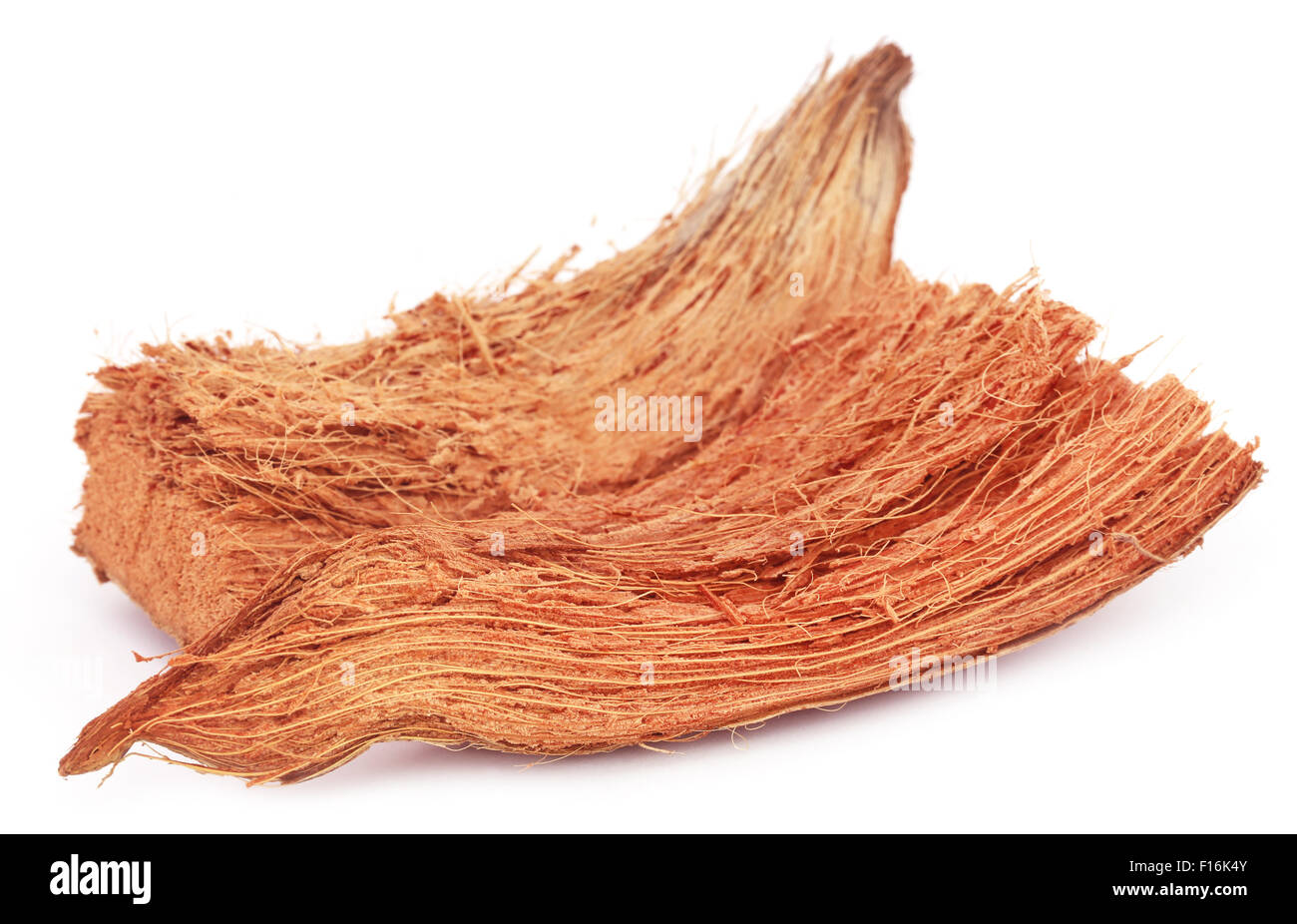 Coir Fiber High Resolution Stock Photography and Images - Alamy