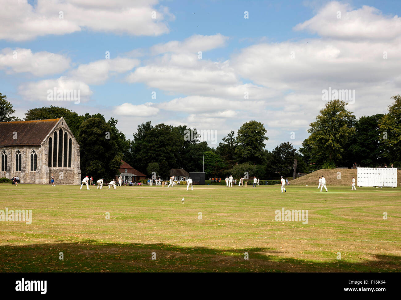 Playing Cricket on a village green Stock Photo - Alamy