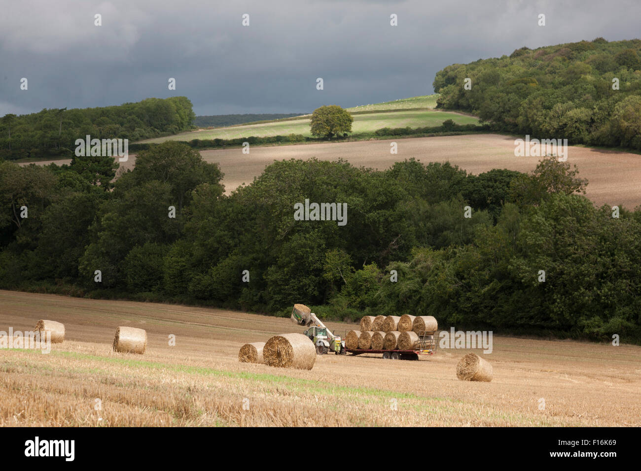 Collecting hay straw bales farm late summer Stock Photo - Alamy