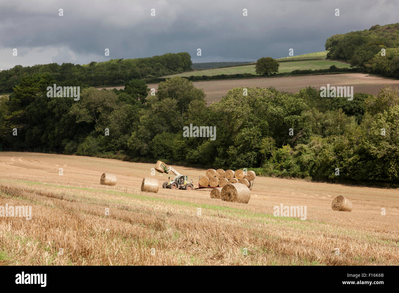 Collecting hay straw bales farm late summer Stock Photo - Alamy