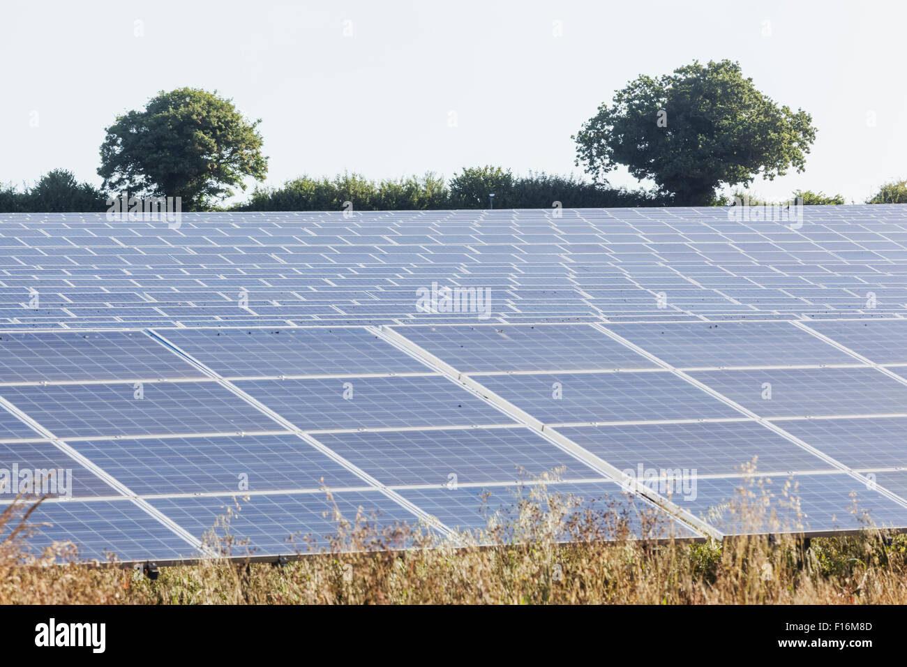 Farmland uk solar panels hi-res stock photography and images - Alamy