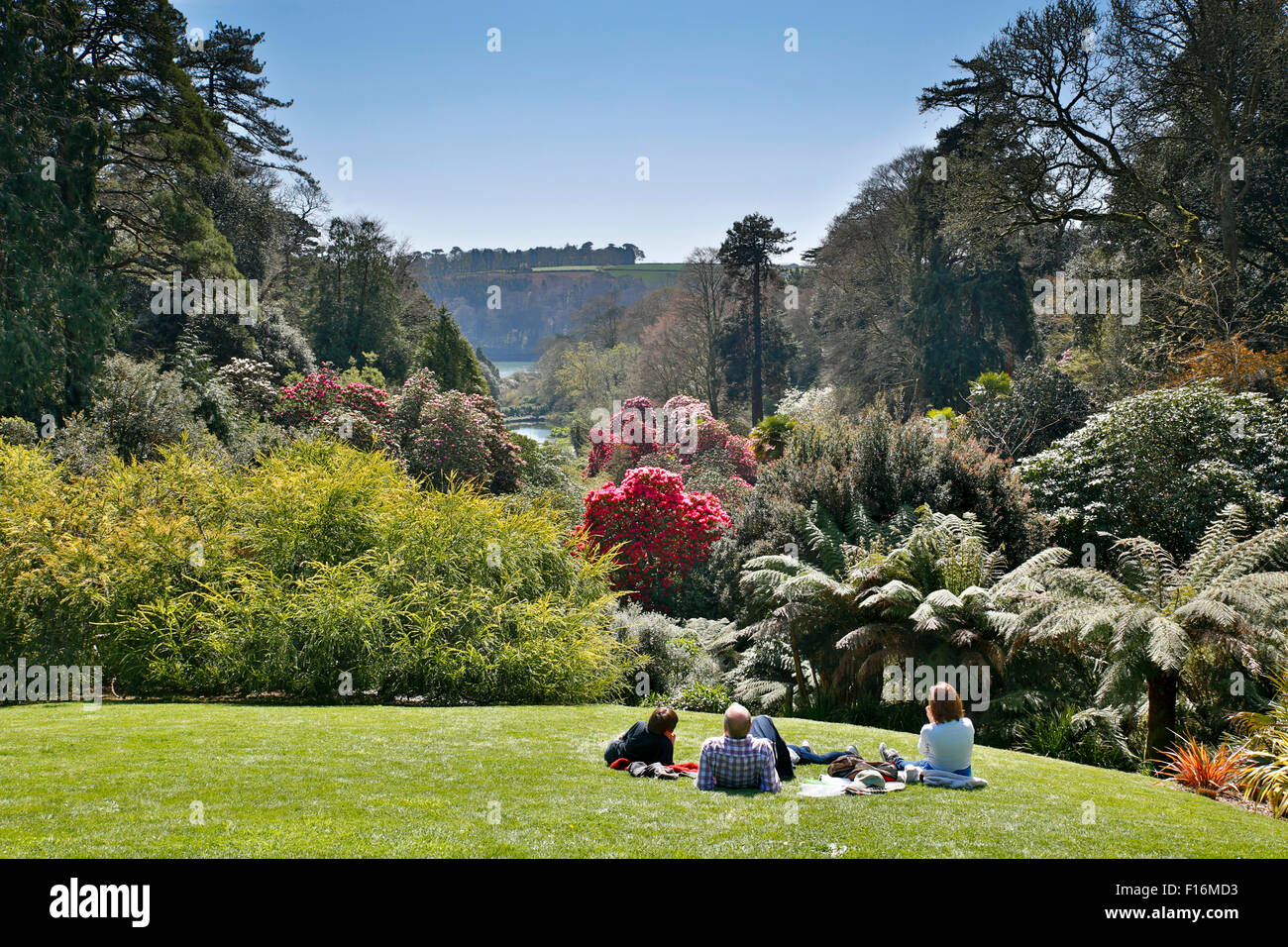 Trebah garden hi-res stock photography and images - Alamy