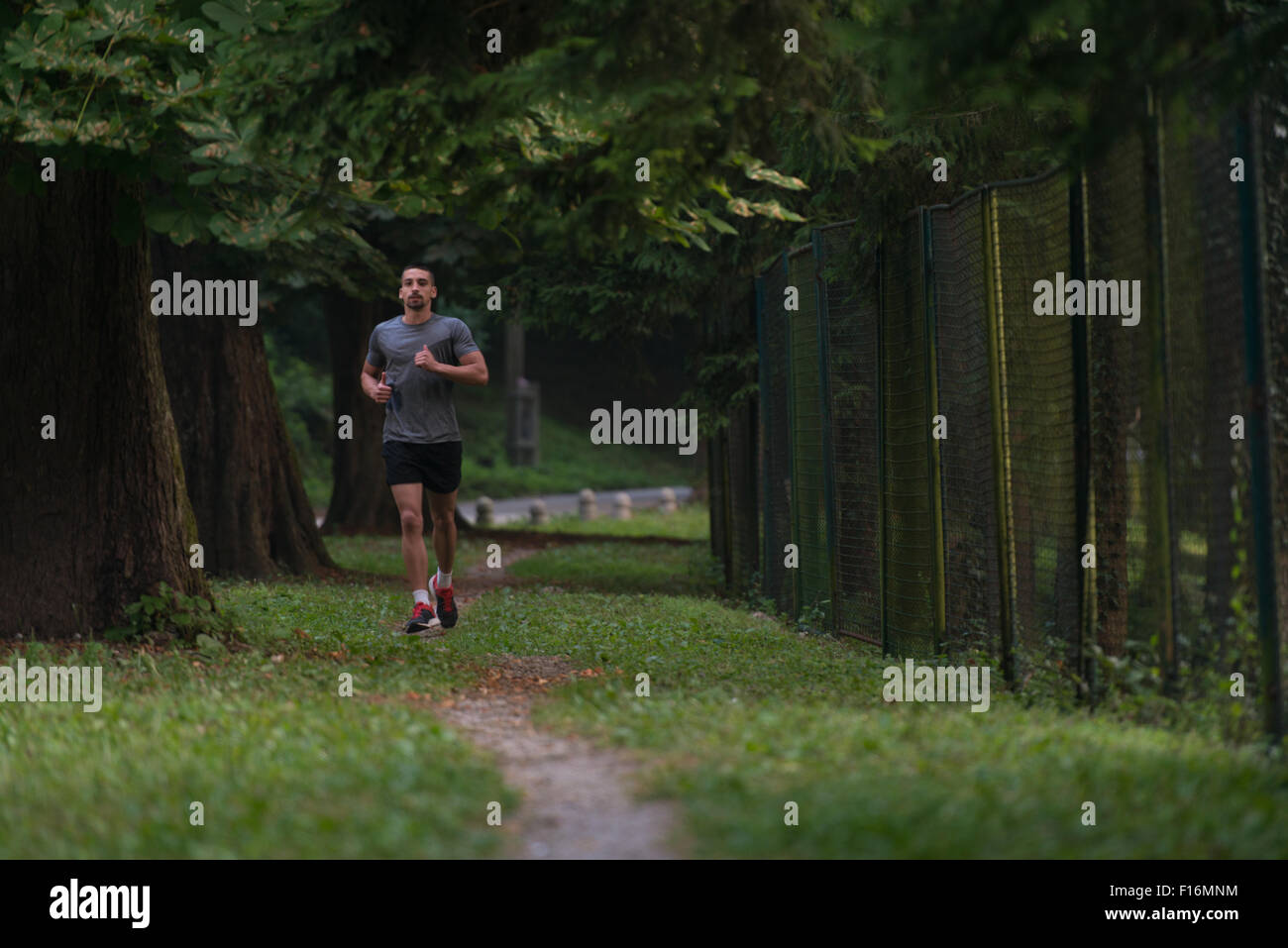 Young Man Running In Wooded Forest Area - Training And Exercising For ...