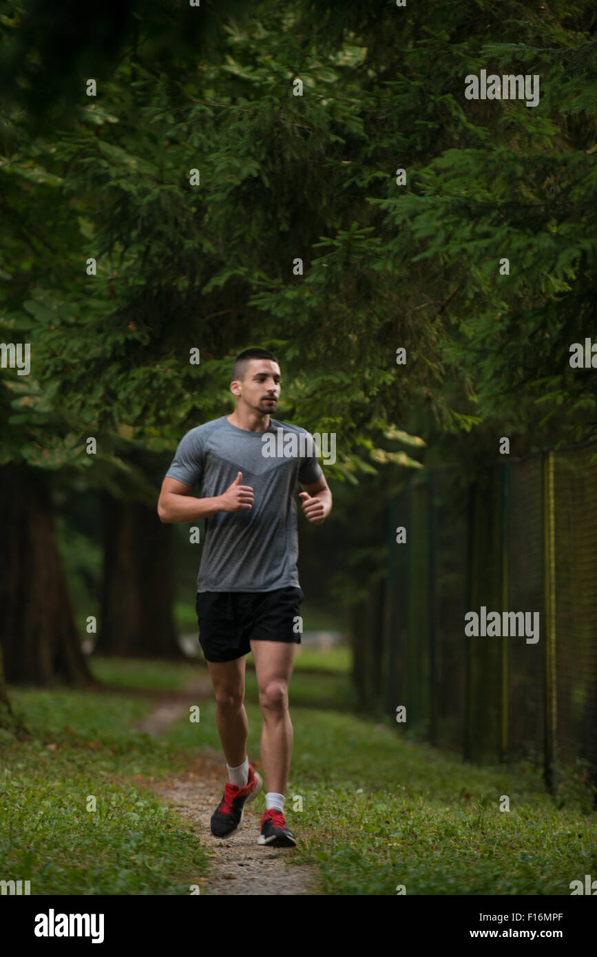 Young Man Running In Wooded Forest Area - Training And Exercising For ...