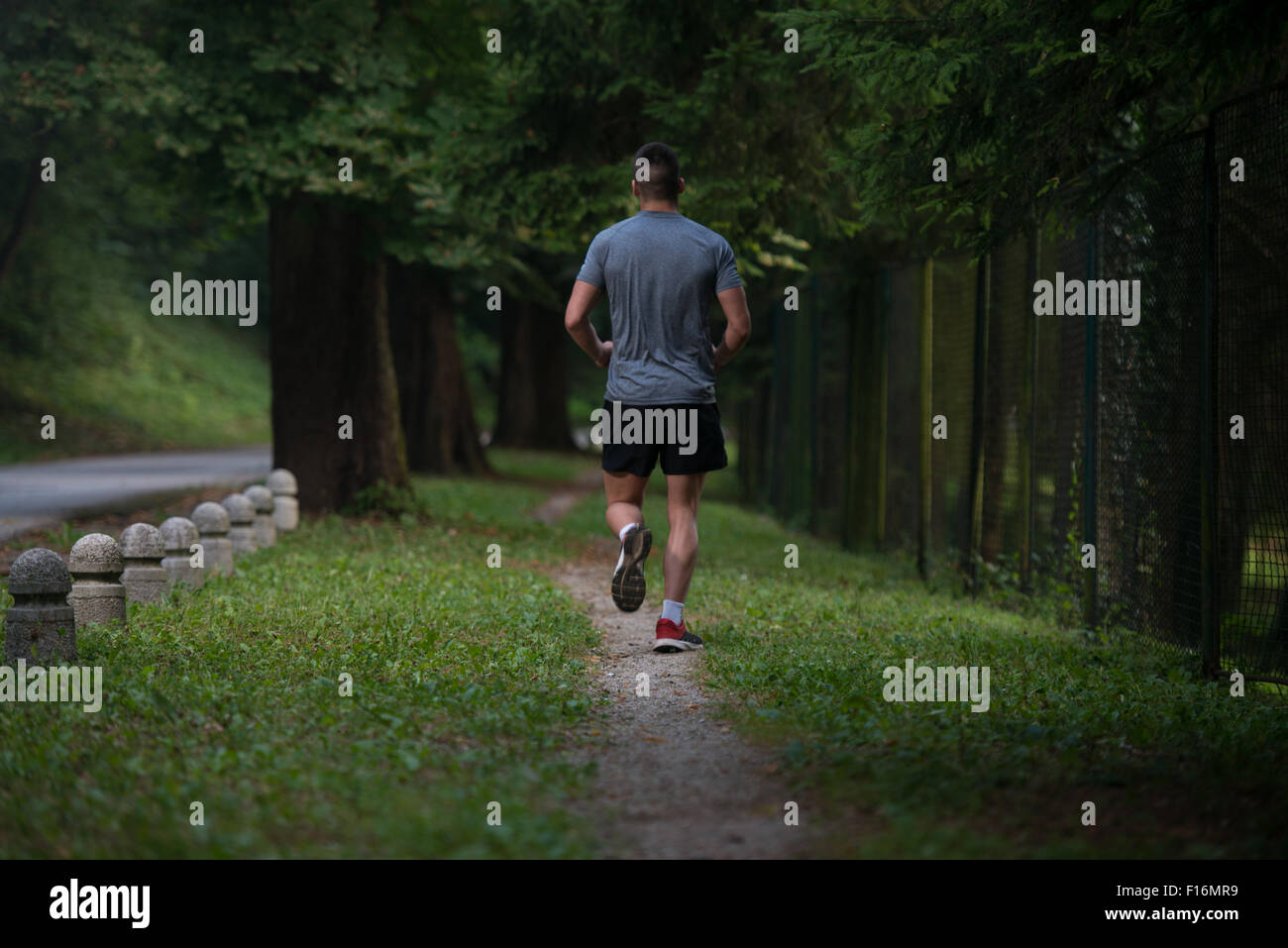 Young Man Running In Wooded Forest Area - Training And Exercising For ...