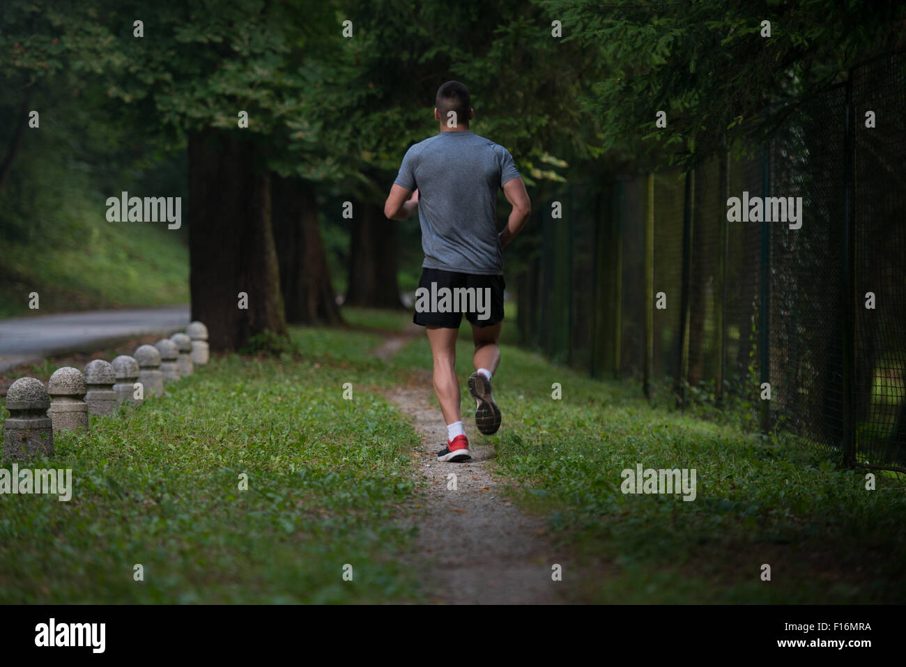 Young Man Running In Wooded Forest Area - Training And Exercising For ...