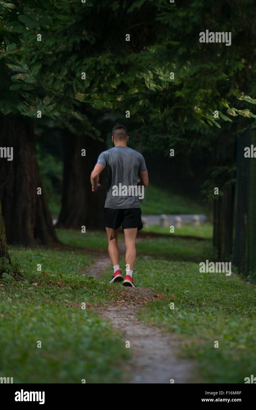 Young Man Running In Wooded Forest Area - Training And Exercising For ...