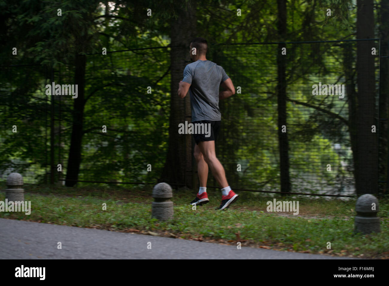 Young Man Running In Wooded Forest Area - Training And Exercising For ...