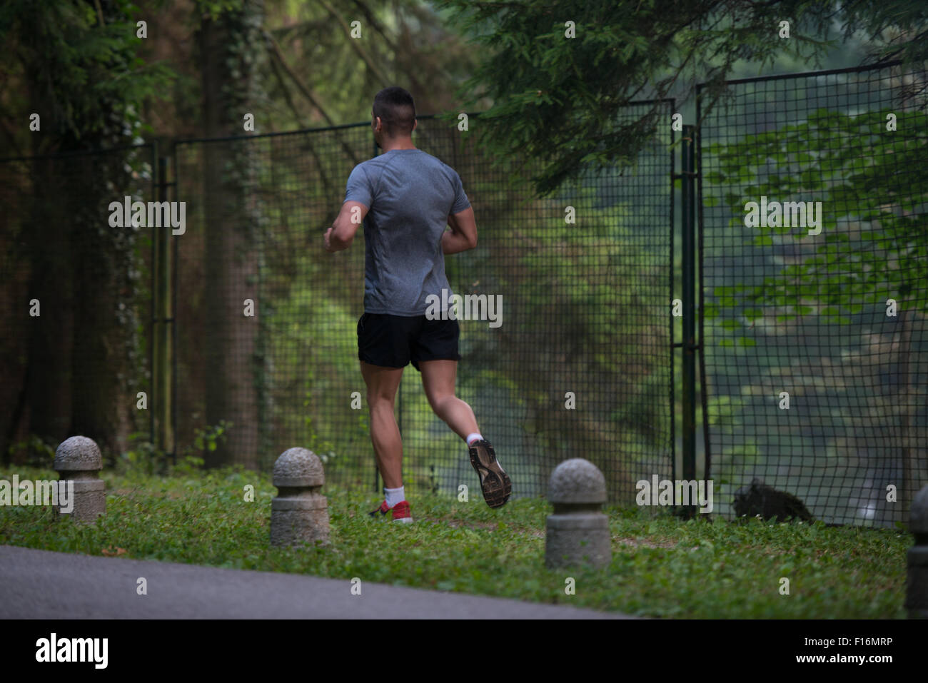 Young Man Running In Wooded Forest Area - Training And Exercising For ...