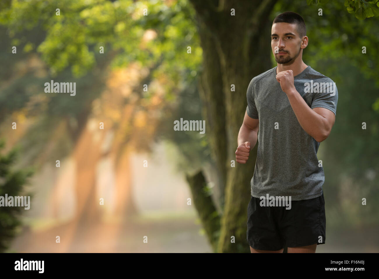 Young Man Running In Wooded Forest Area - Training And Exercising For ...