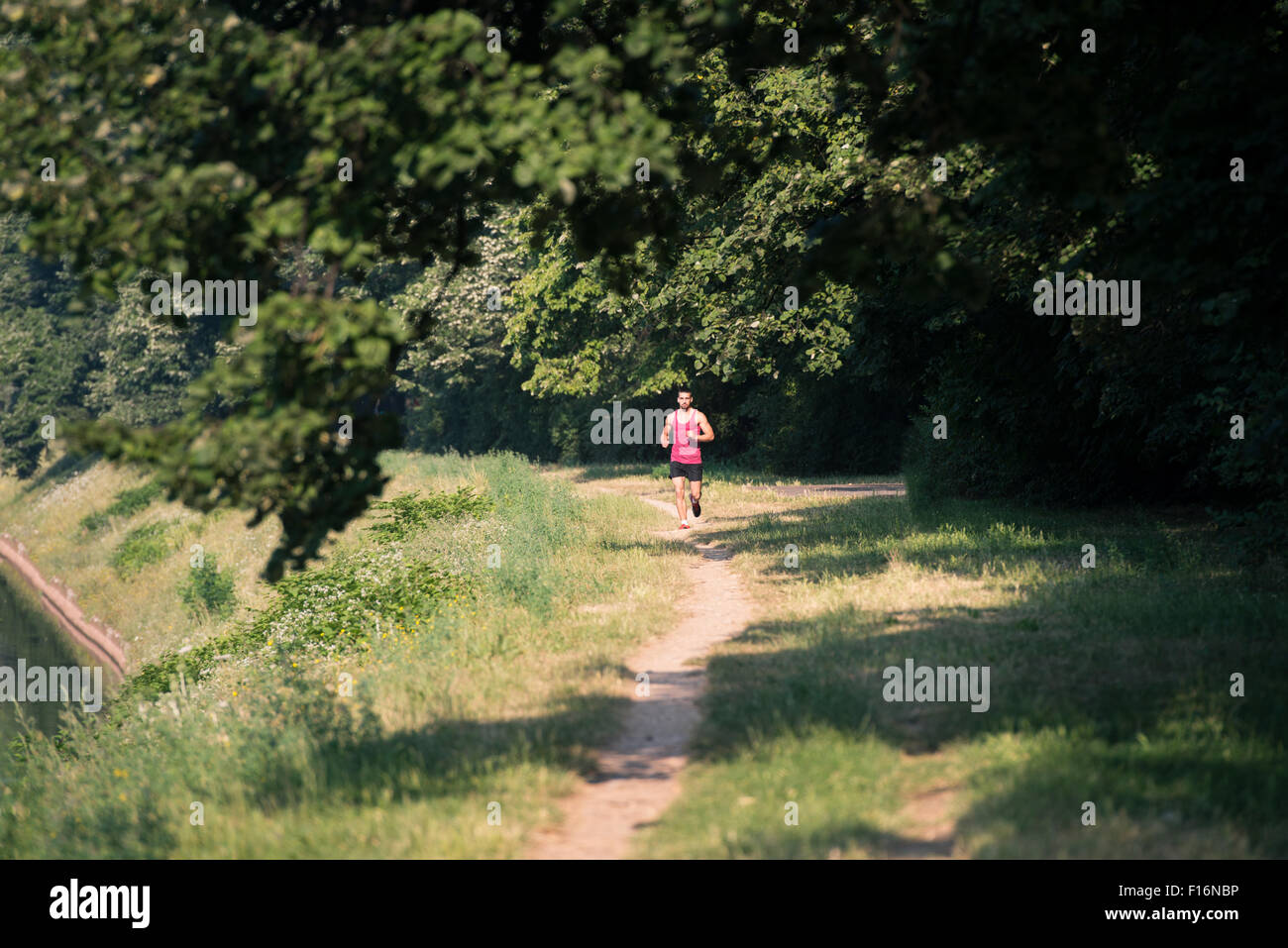 Young Man Running In Wooded Forest Area - Training And Exercising For ...