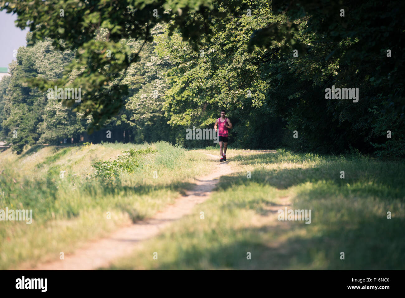 Young Man Running In Wooded Forest Area - Training And Exercising For ...