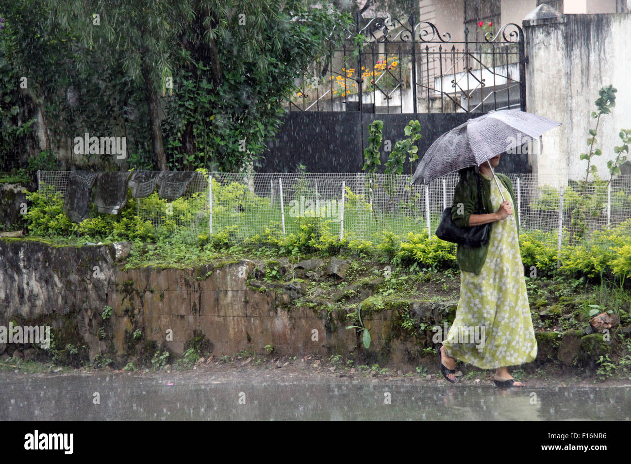 A woman in a sari walks along the road in the rain Stock Photo - Alamy