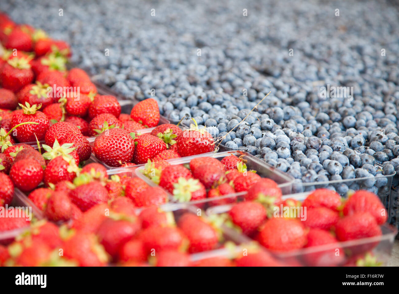 Blueberry blueberries strawberries hi-res stock photography and images ...