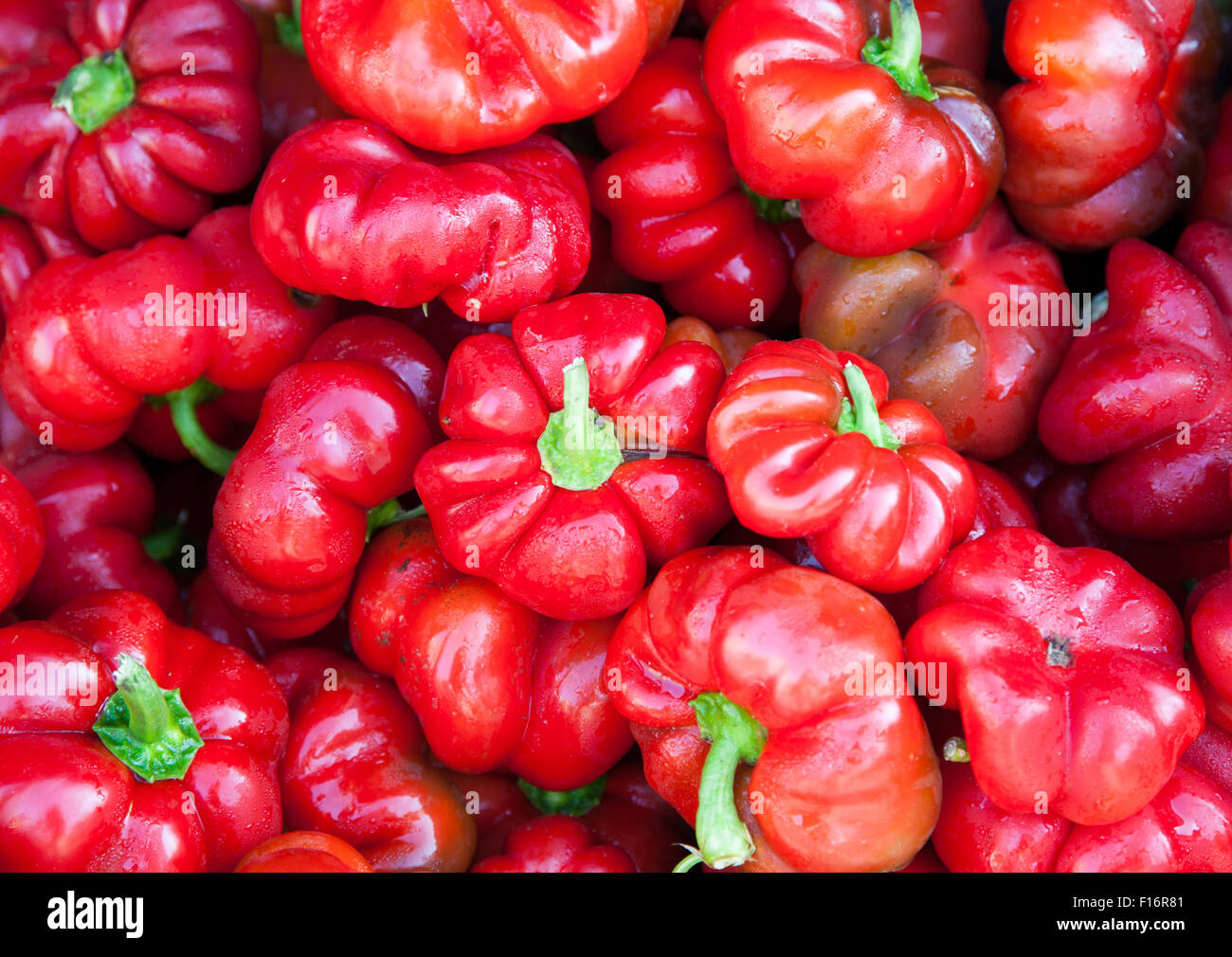 Small thickwalled flat red pepper Stock Photo - Alamy