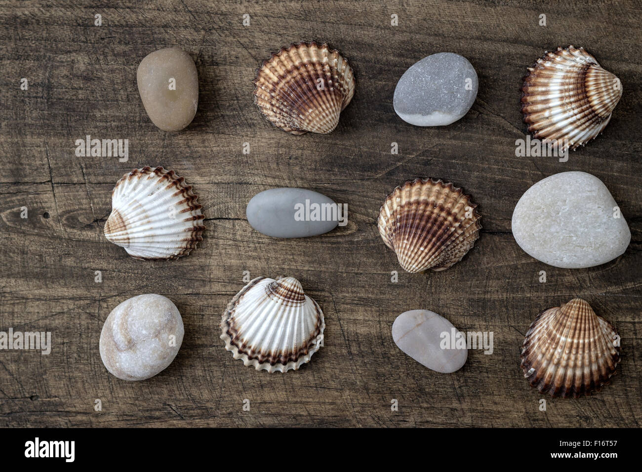 Sea shells and pebbles on an old wooden plank, from above Stock Photo ...