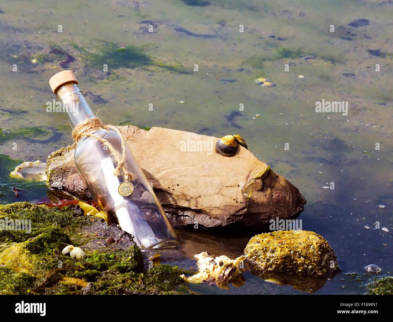 Message in a bottle washed ashore on the beach Stock Photo - Alamy