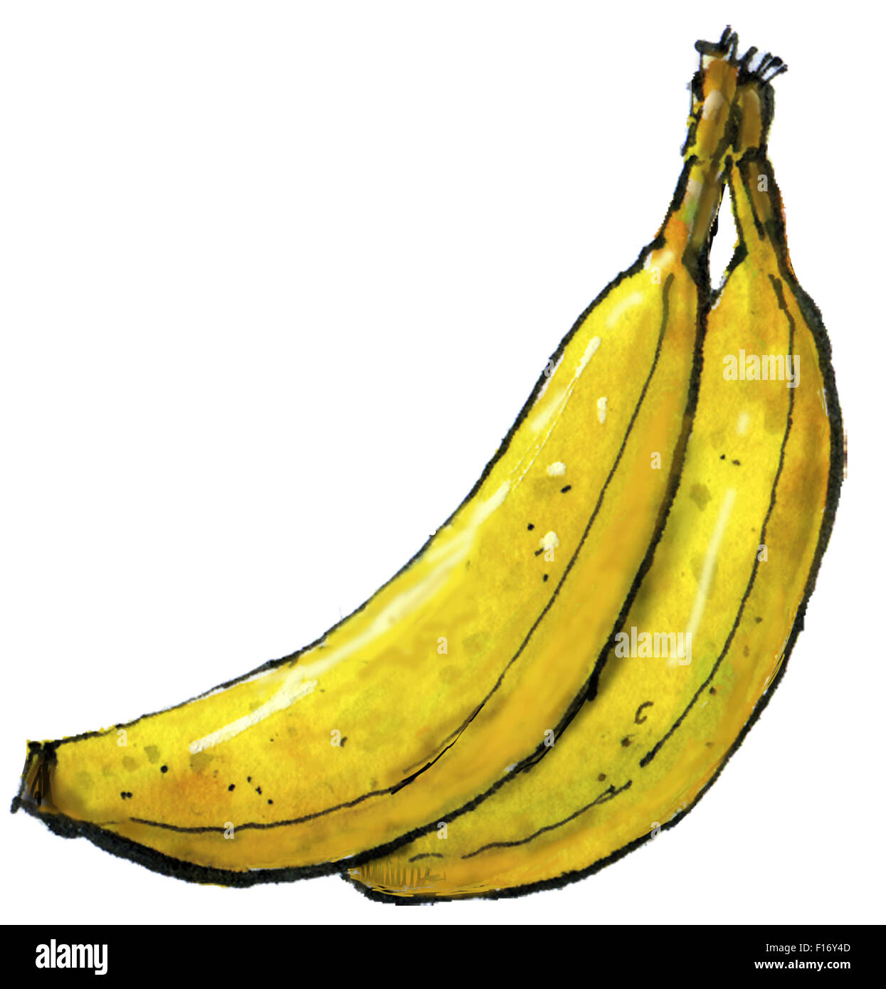 Cartoon illustration color yellow banana hi-res stock photography and ...