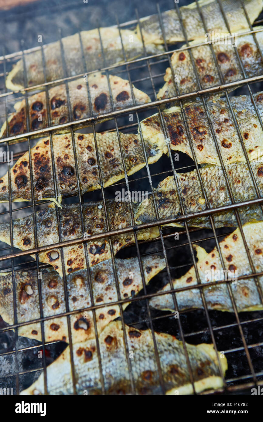 Grilling fish on campfire Stock Photo - Alamy