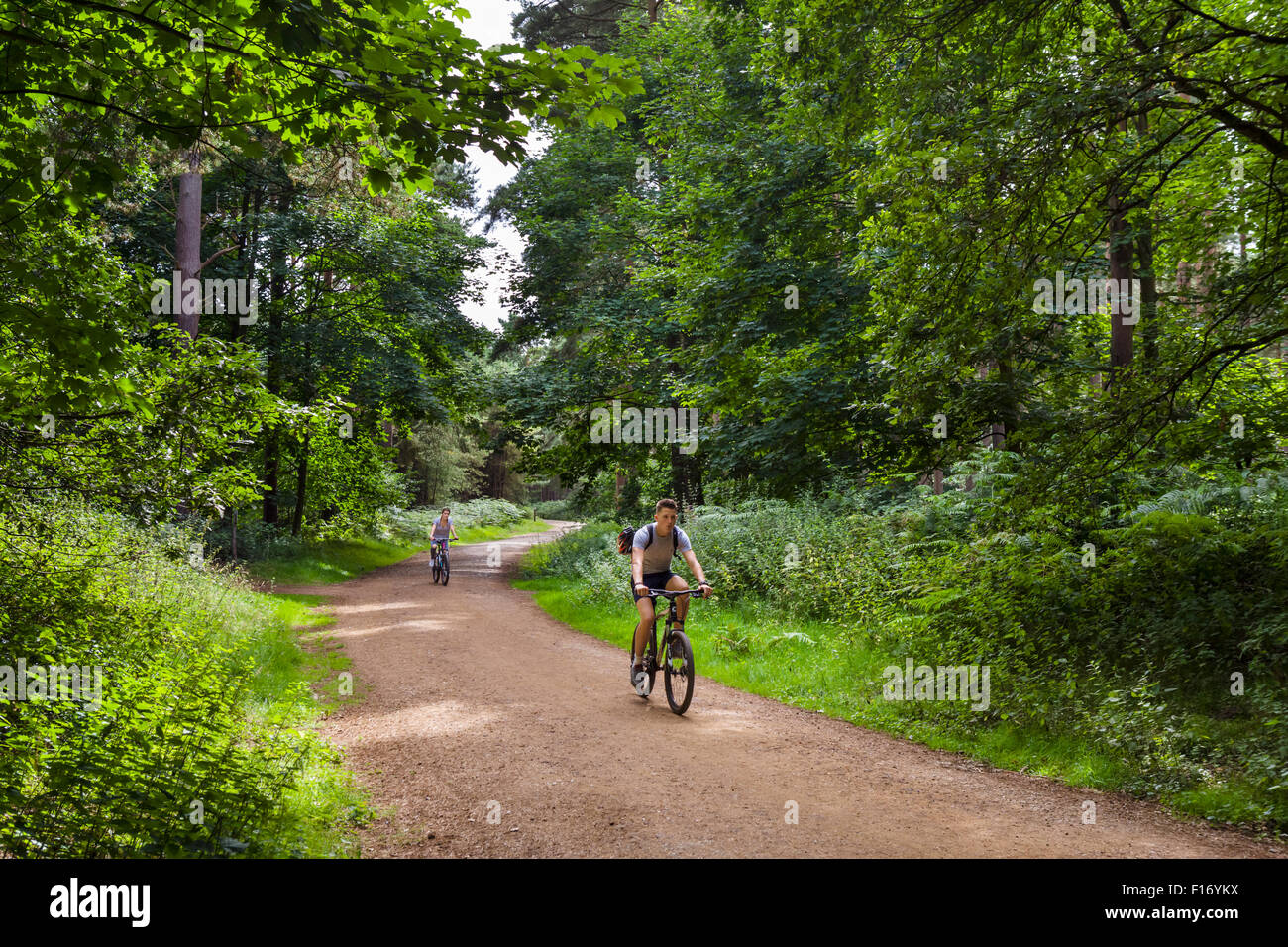 Thetford hi-res stock photography and images - Alamy