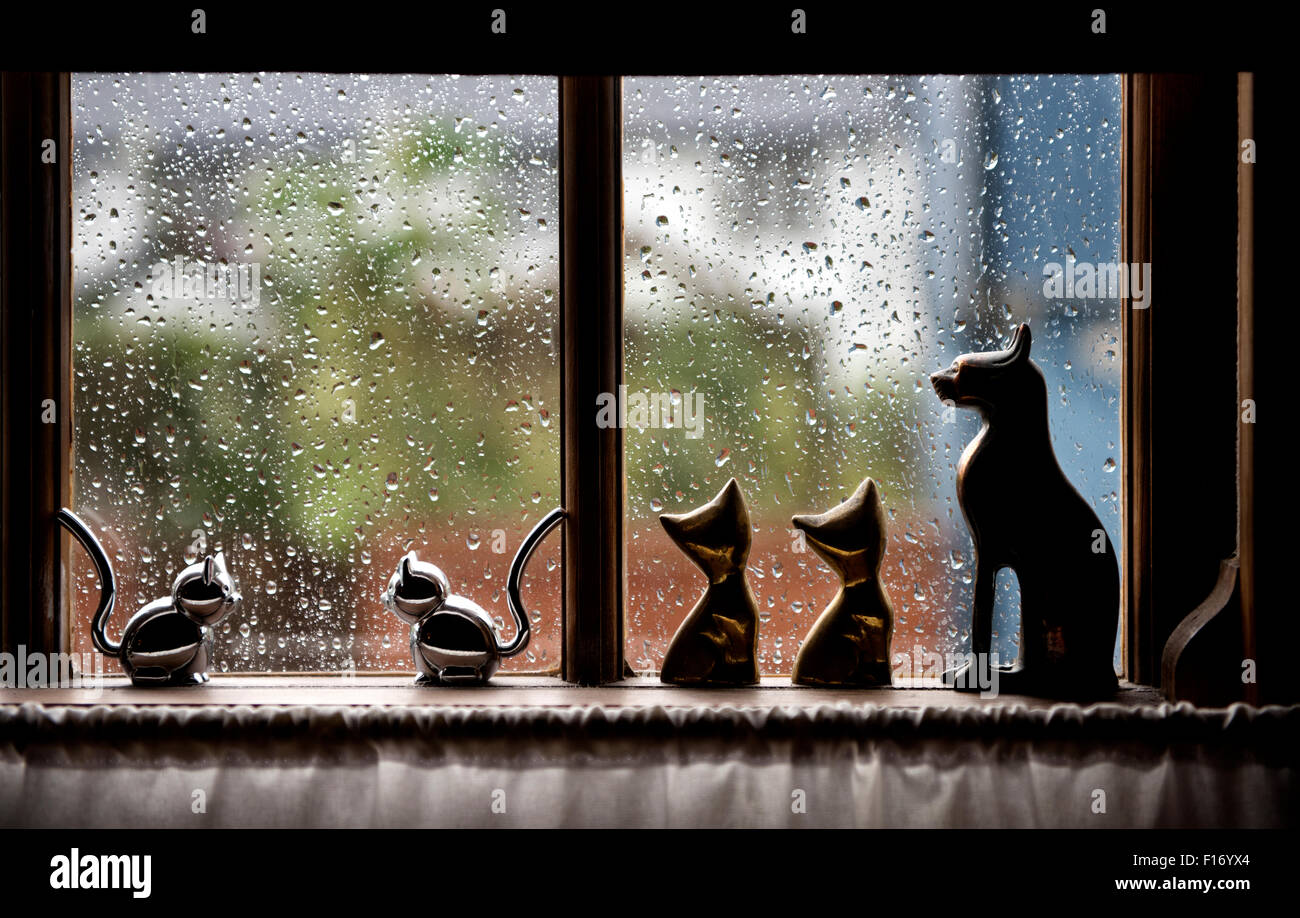 Cat rain window hi-res stock photography and images - Alamy