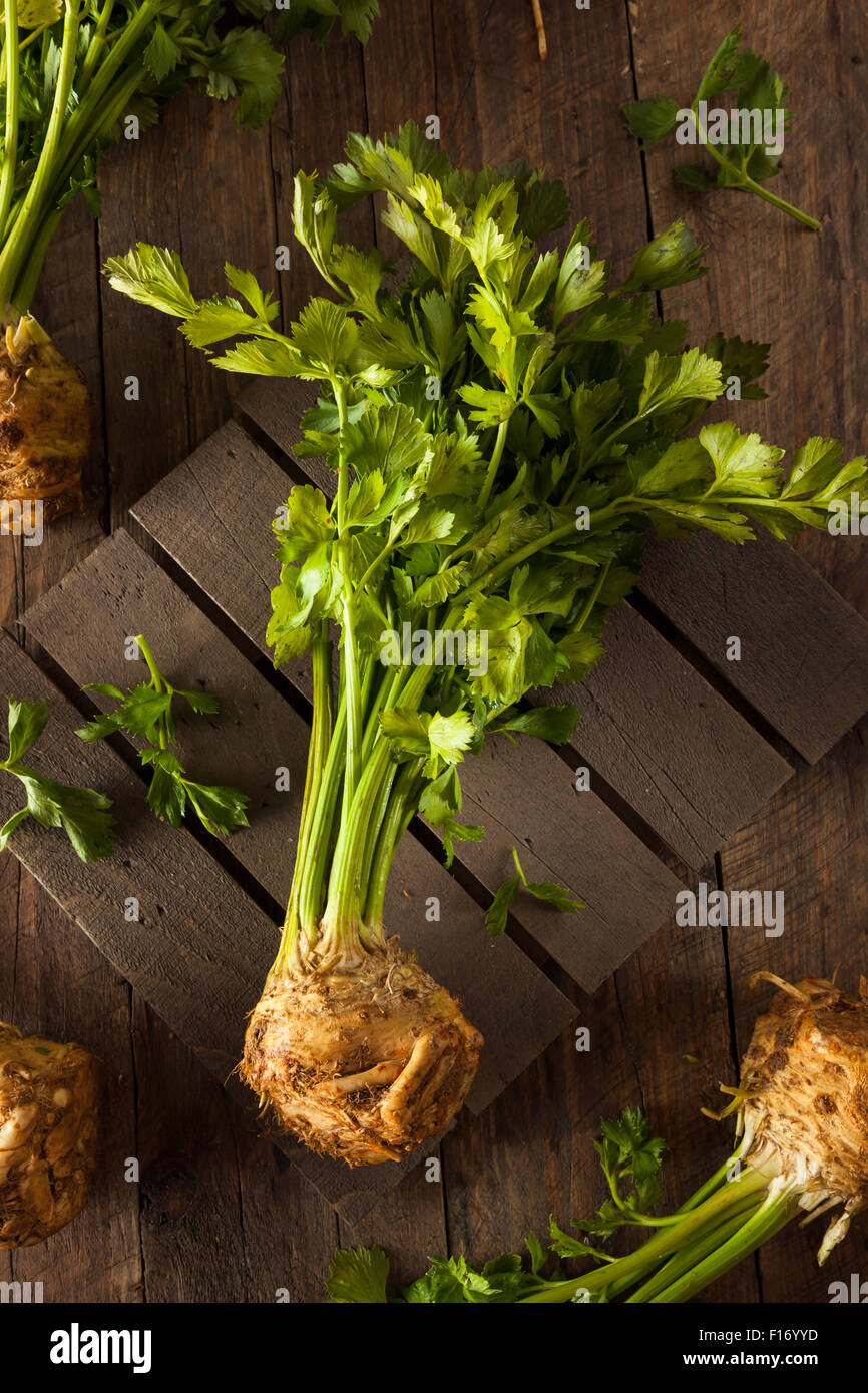 Fresh root vegetable salad food organic hi-res stock photography and ...