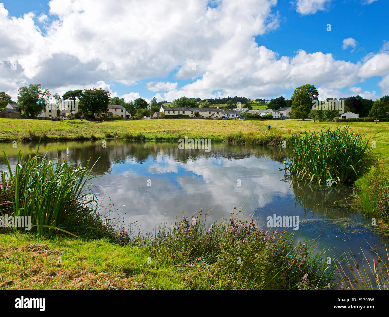 Village pond, Caldbeck, Cumbria, England UK Stock Photo - Alamy