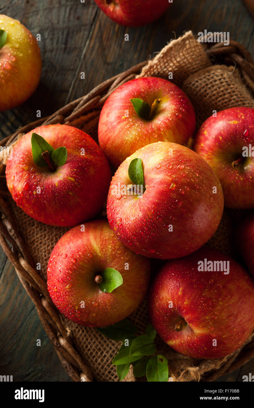 Red fuji hi-res stock photography and images - Alamy