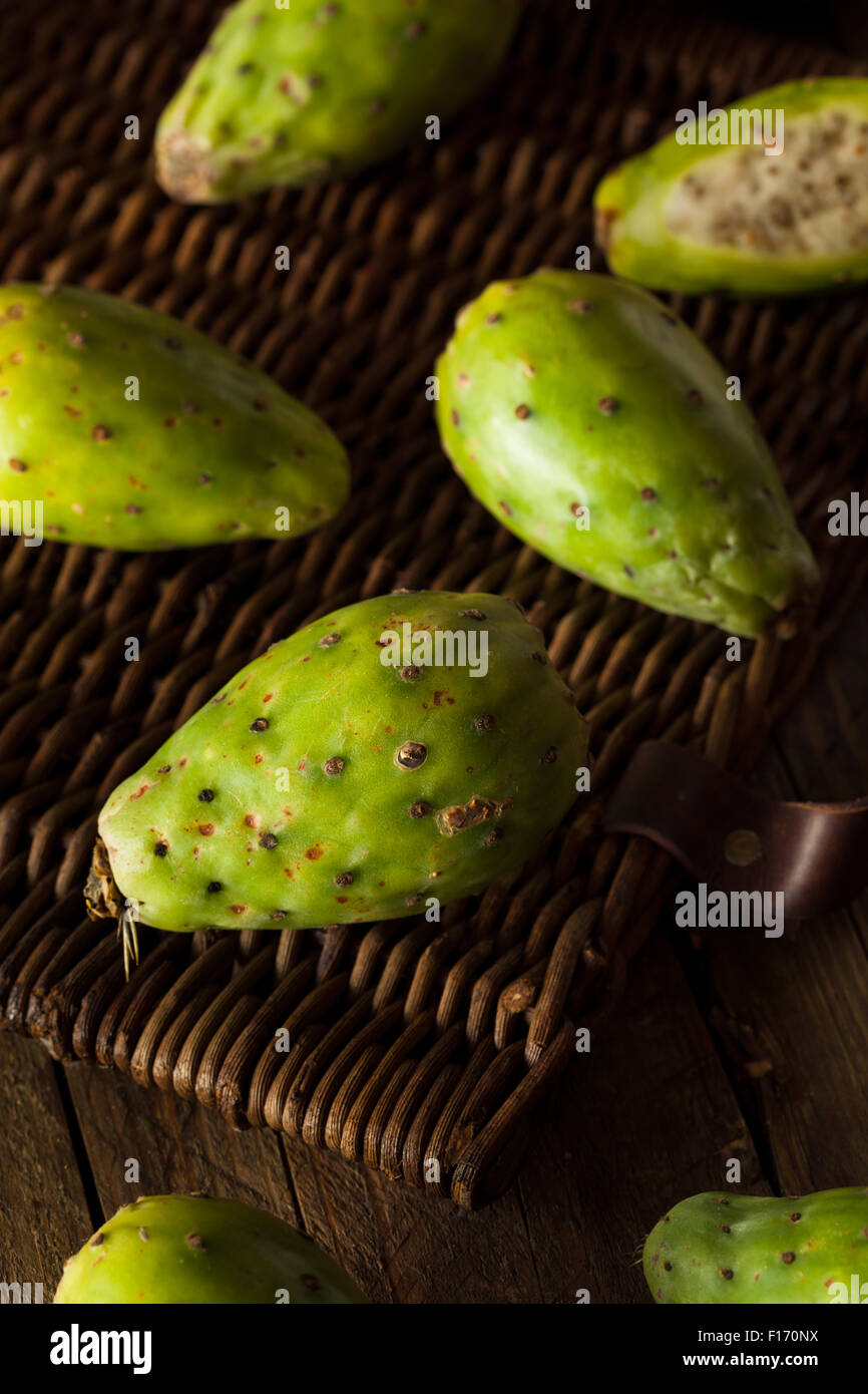 Green cactus hi-res stock photography and images - Alamy