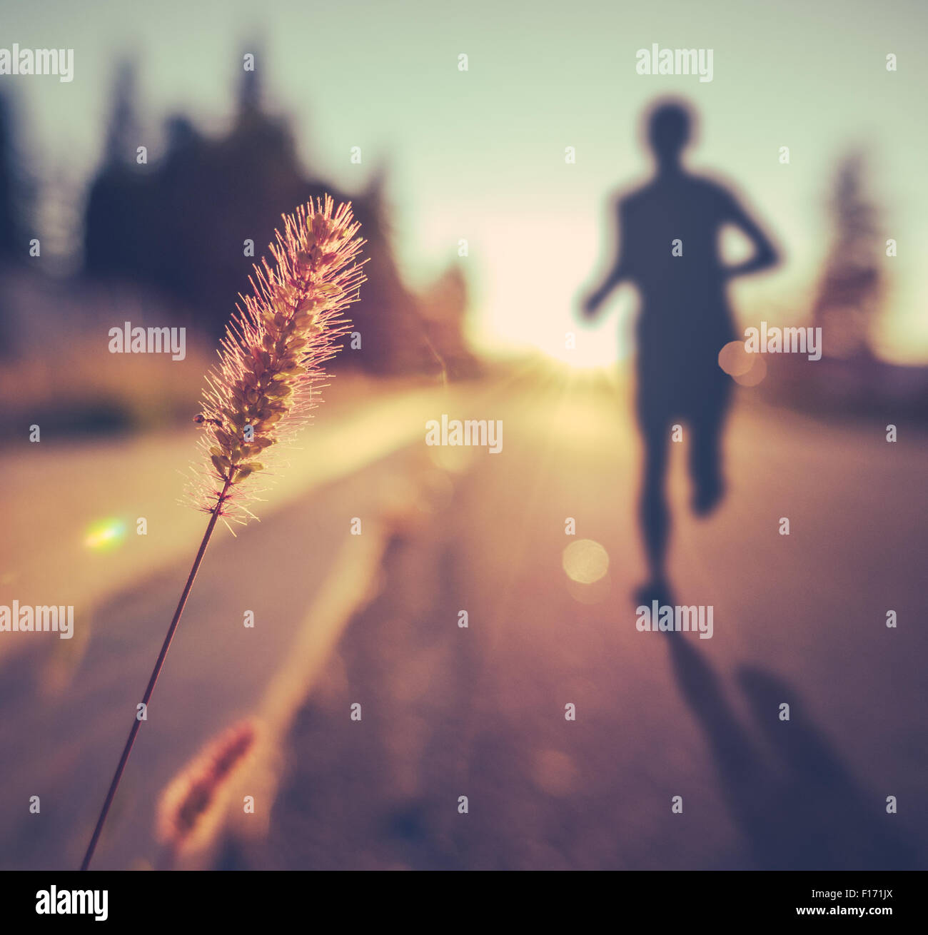 Retro Vintage Soft Healthy Fitness Runner At Sunset Stock Photo - Alamy