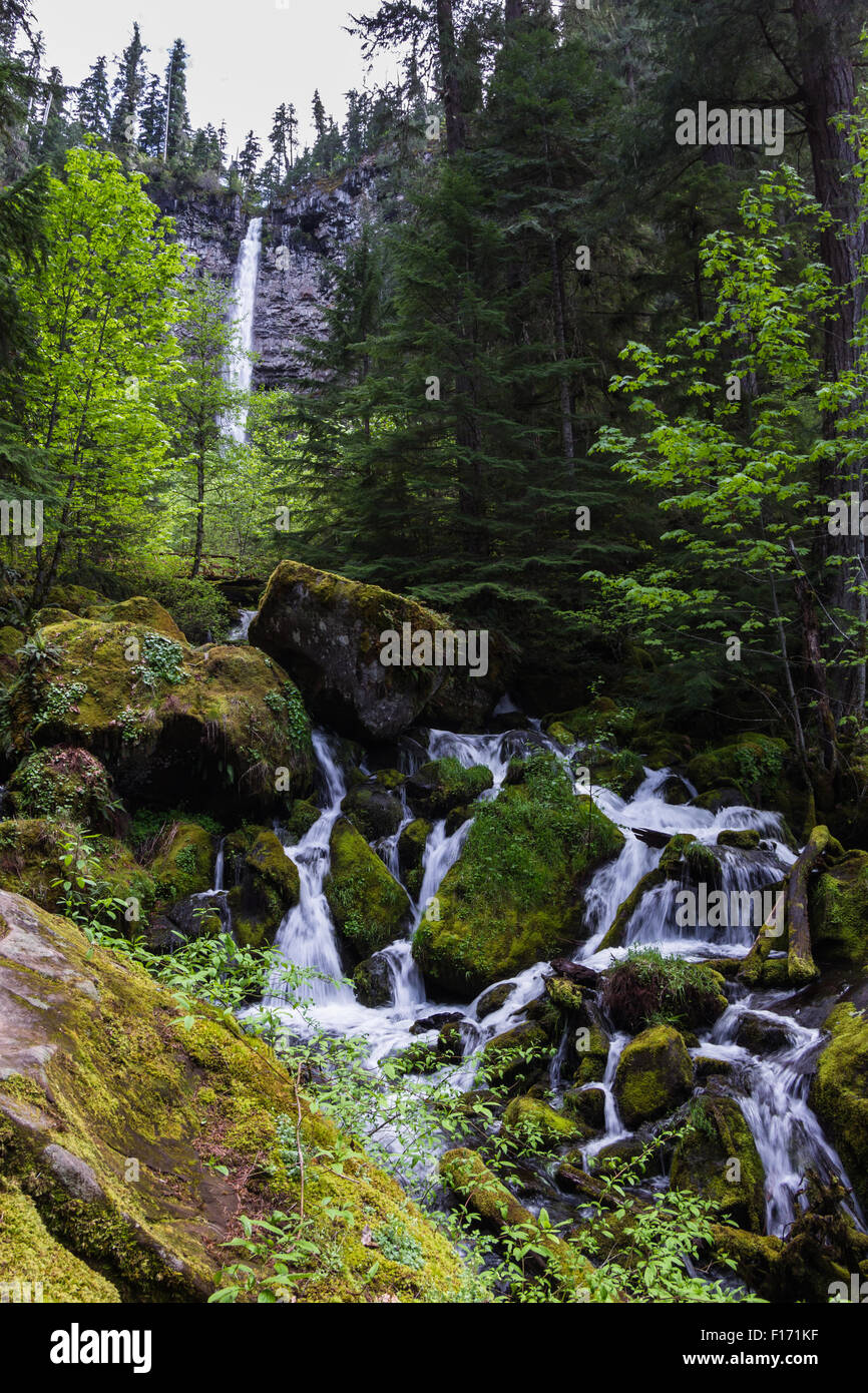 Watson falls is a 272-foot waterfall in Douglas County Oregon, with ...