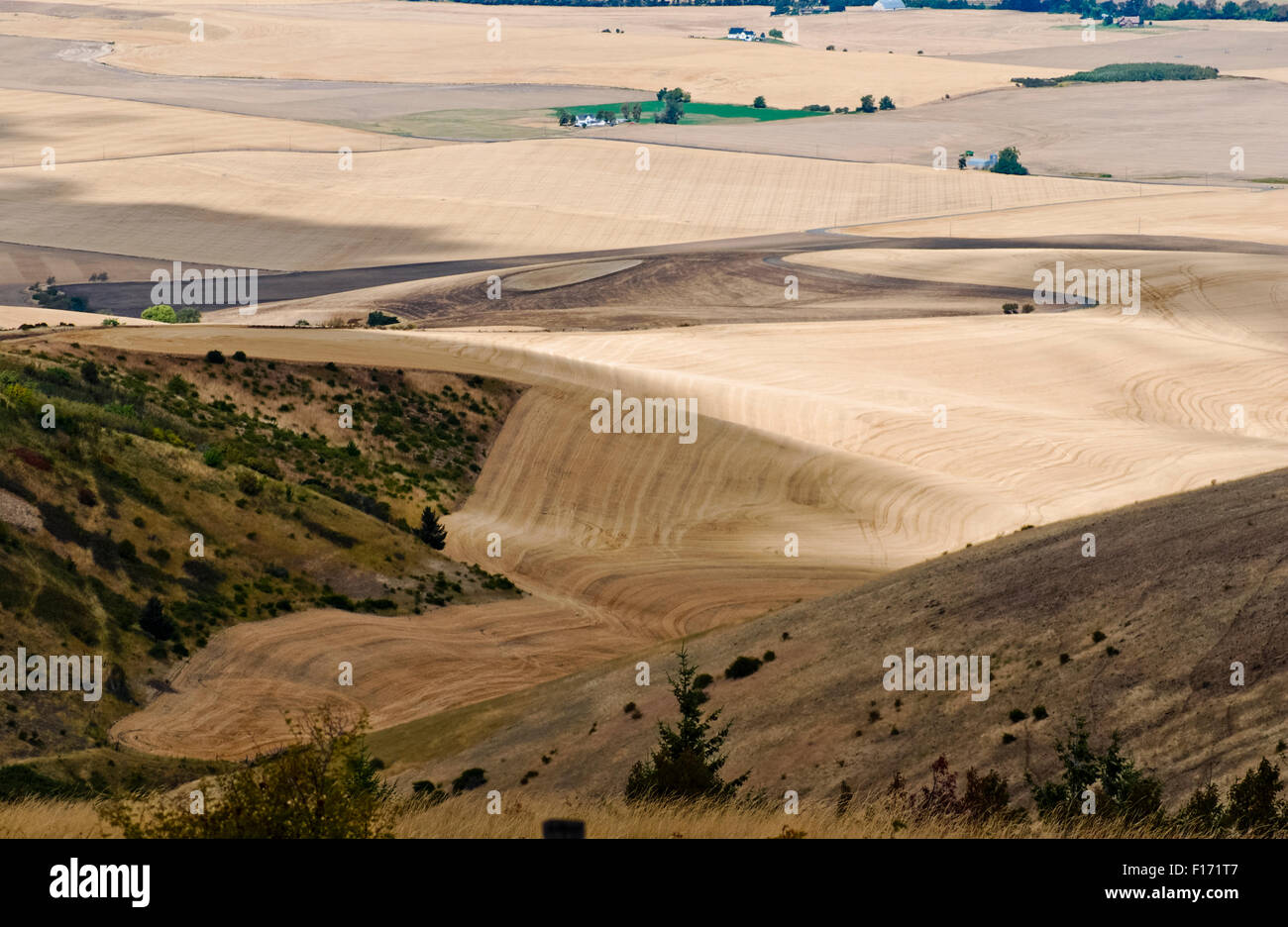 Farming hills hi-res stock photography and images - Alamy