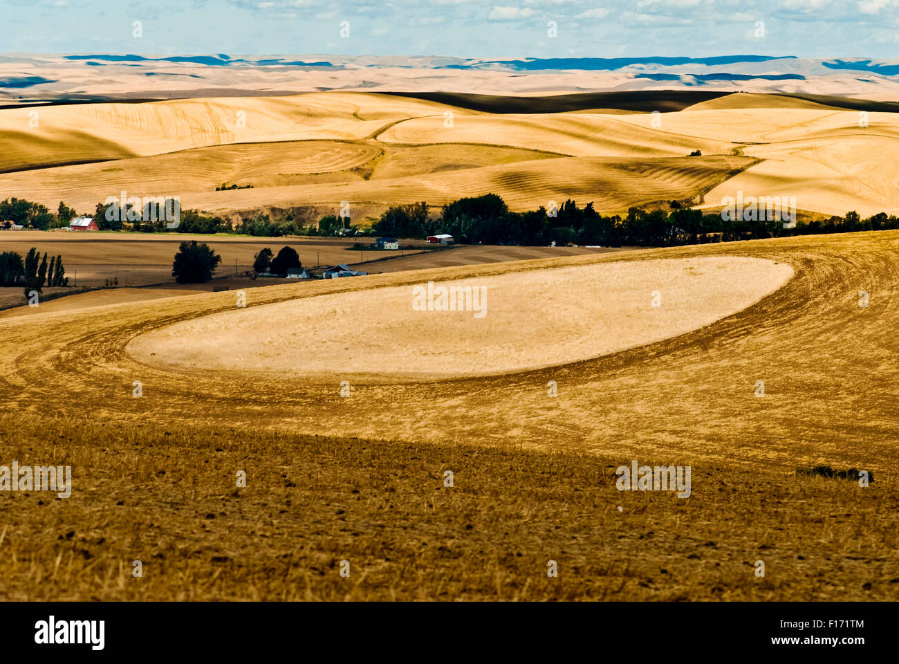 The rolling hills of the Walla Walla valley, Eastern Washington USA ...
