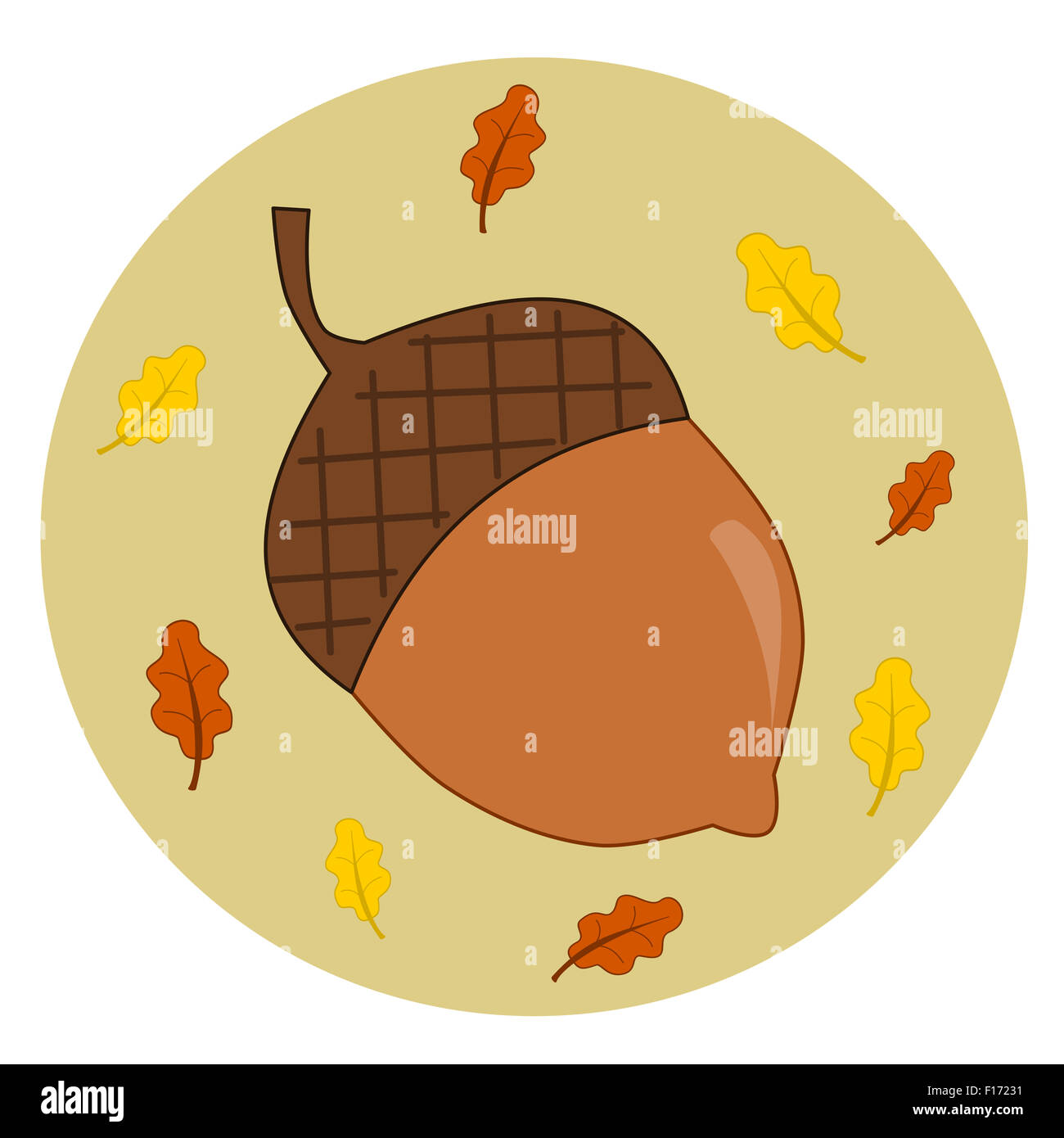 acorn with leaves autumn fall illustration Stock Photo - Alamy