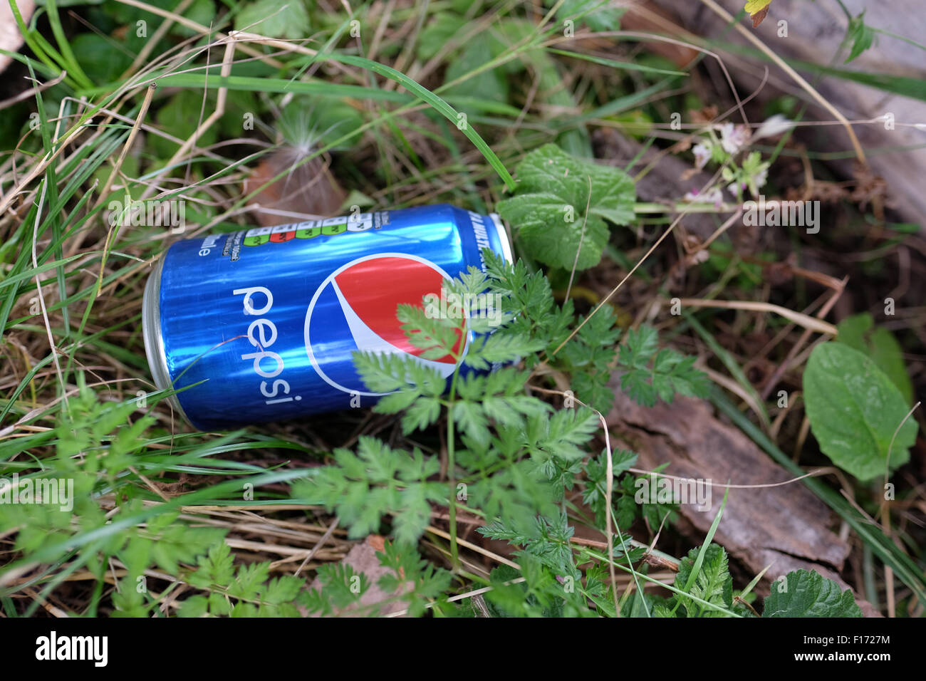 Pepsi can hi-res stock photography and images - Alamy