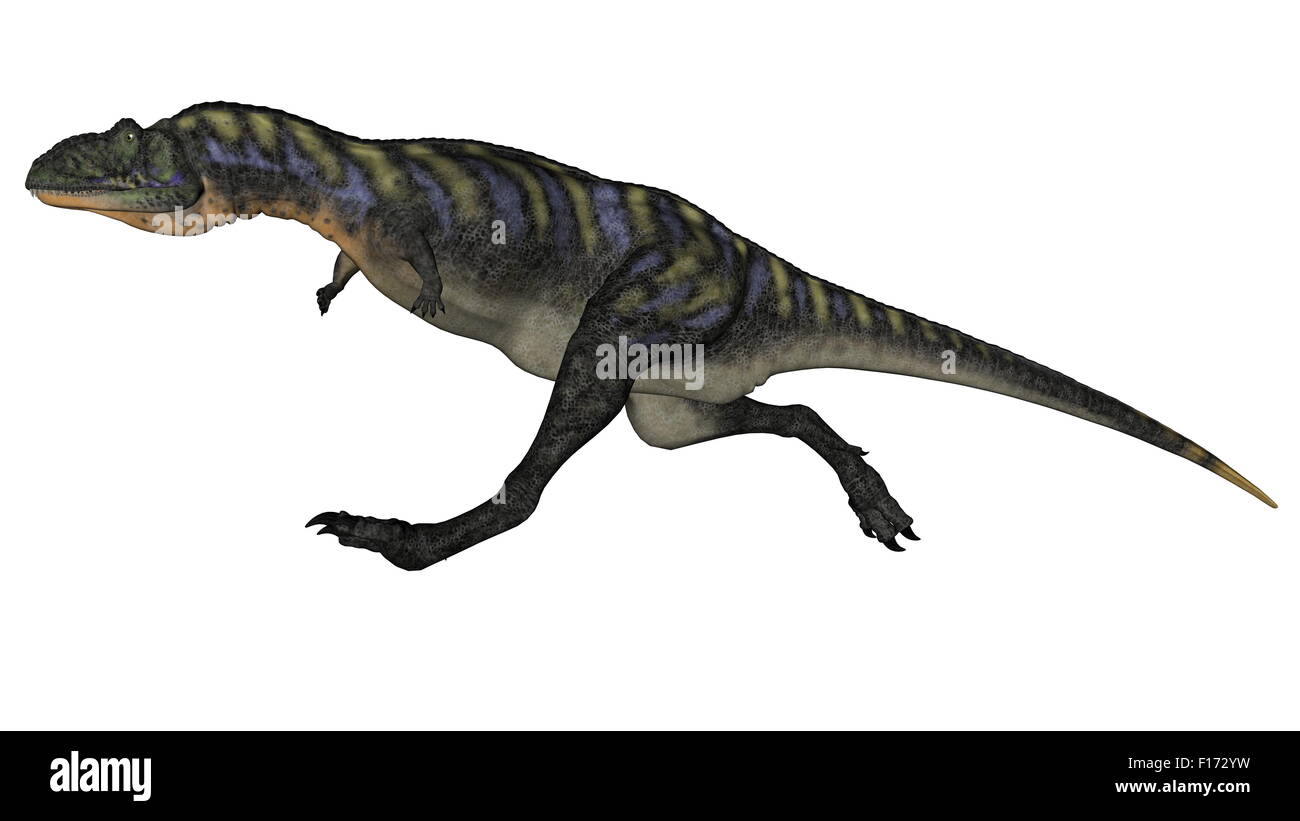 Aucasaurus dinosaur running isolated in white background - 3D render ...