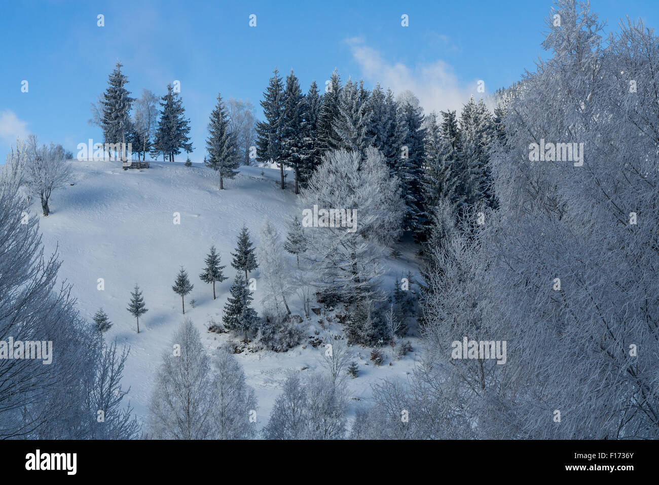 Order of nature Stock Photo - Alamy